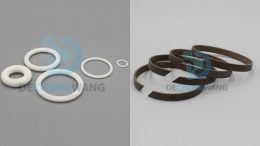 O-Rings VS Guide Rings: What Is Their Difference? | DCW