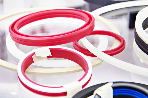 All You Need to Know About Lip Seals - ptfedf