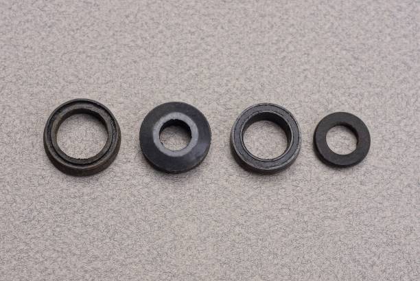 All You Need to Know About Lip Seals - ptfedf