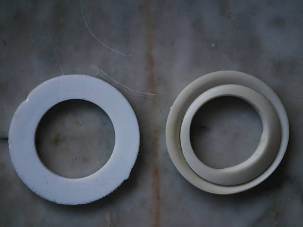 All You Need to Know About Lip Seals - ptfedf